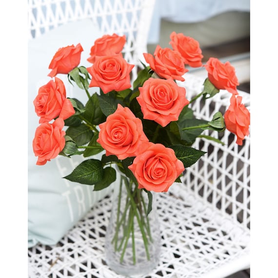 Peach Orange Roses