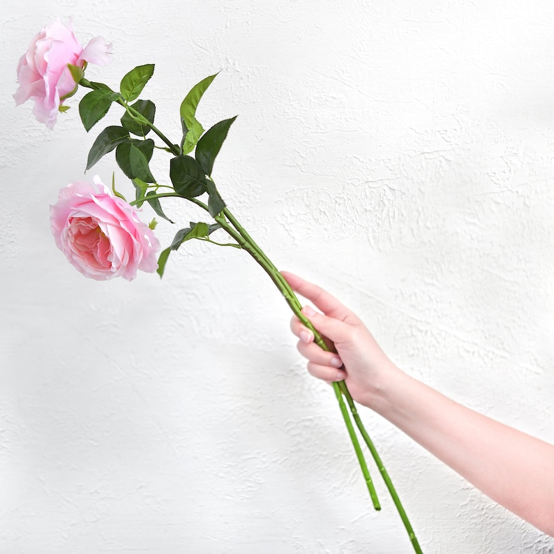 Powder Pink Real Touch Garden Roses Large Blooms 2 Long Stems - Etsy