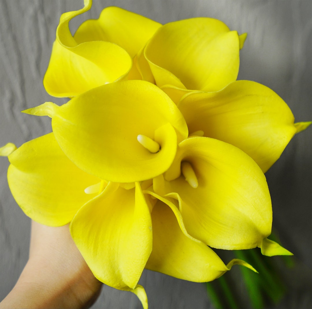 Real Touch Yellow Calla Lilies, Hand-made Bouquet (10 Stems) - Etsy