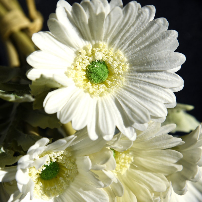 Fiveseasonstuff 7 Stems of Artificial Real Touch Gerbera - Etsy