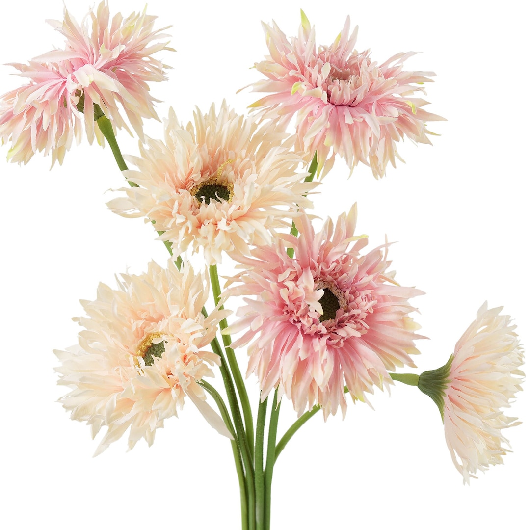 Pink Spider Gerbera Daisies, Realistic Silk Flowers, Home Decor (6 ...