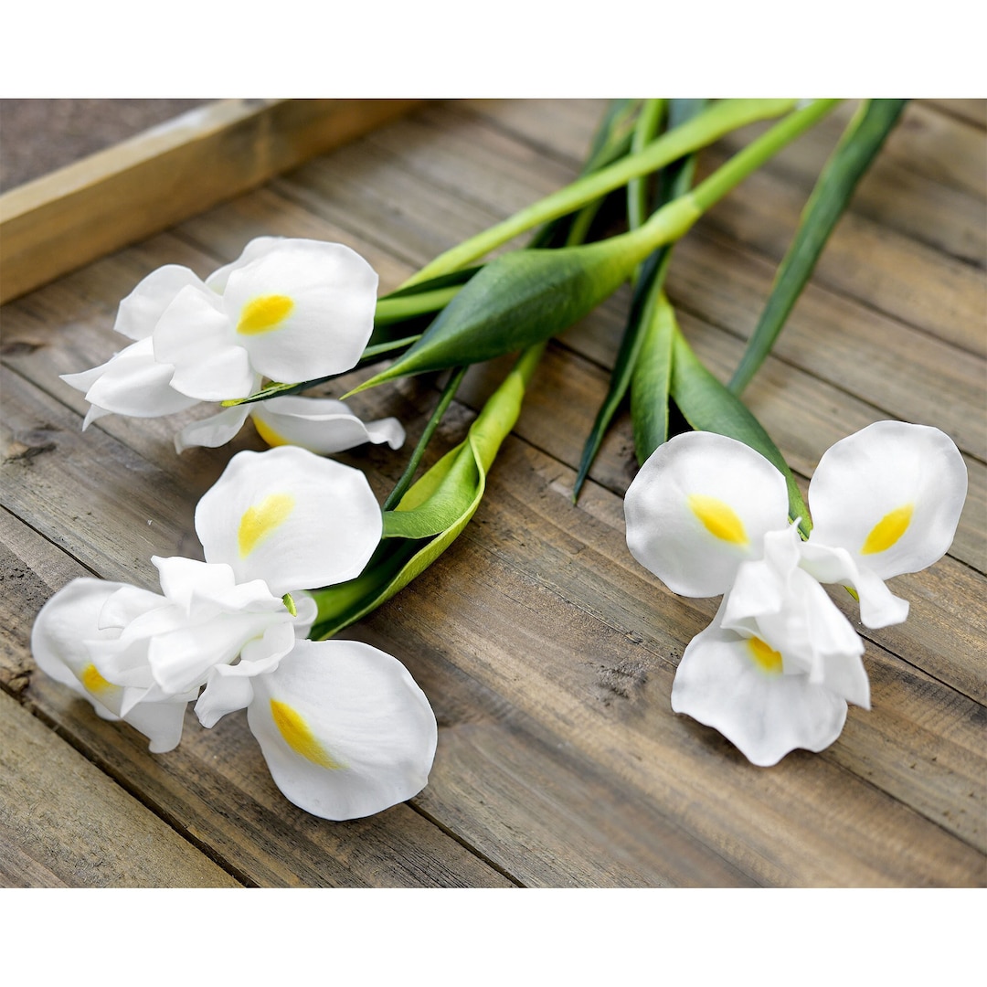 Long Stems Irises (cream White) Real Touch Artificial Flower Bouquet ...