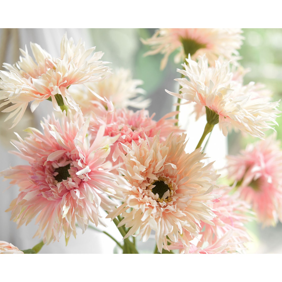Pink Spider Gerbera Daisies, Realistic Silk Flowers, Home Decor (6 ...