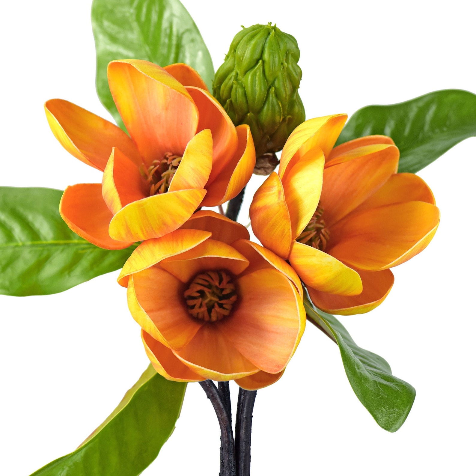 Fiveseasonstuff Friendship Orange Magnolia Artificial Flowers - Etsy
