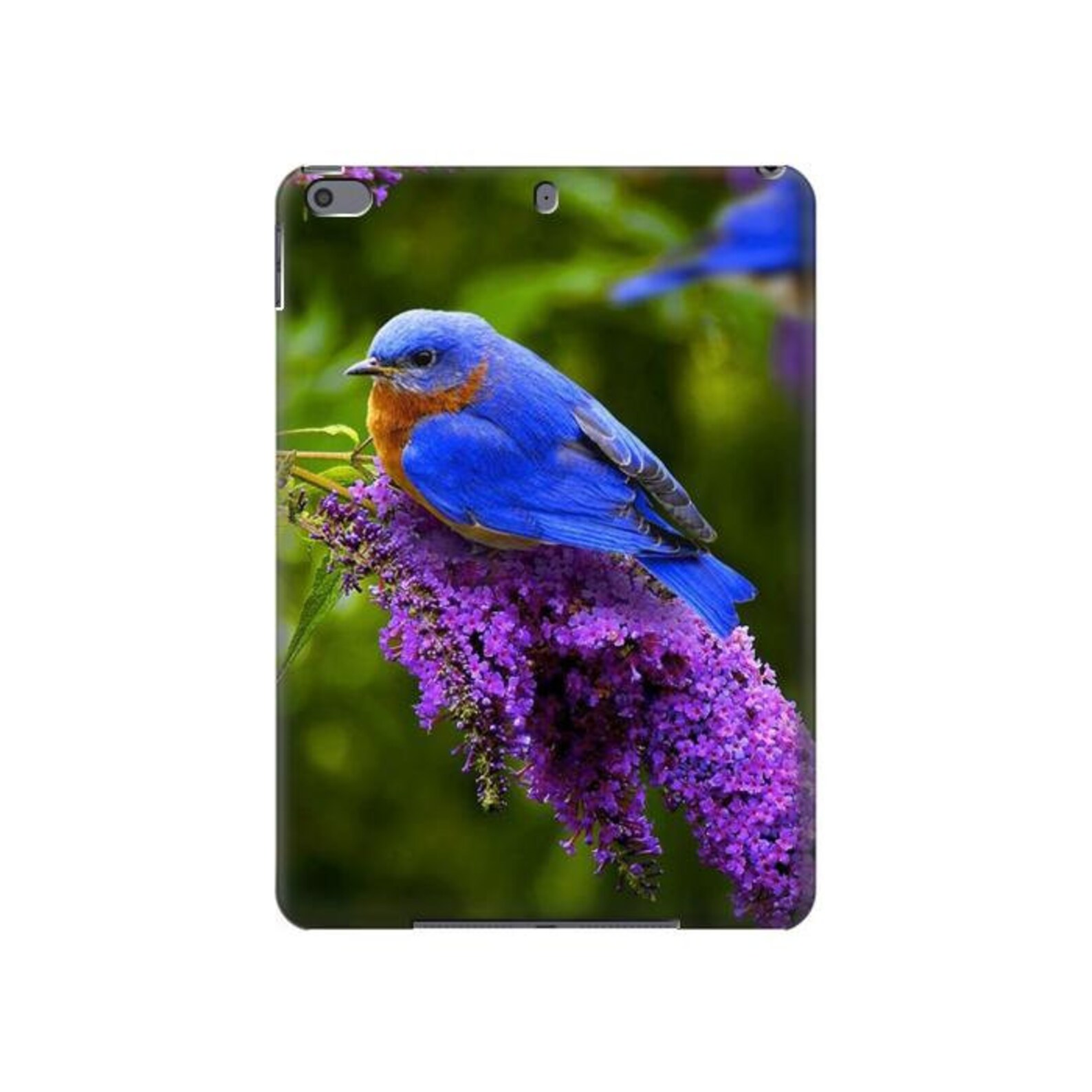 Bluebird of Happiness Blue Bird Hard Back Case for Ipad 6 5 - Etsy