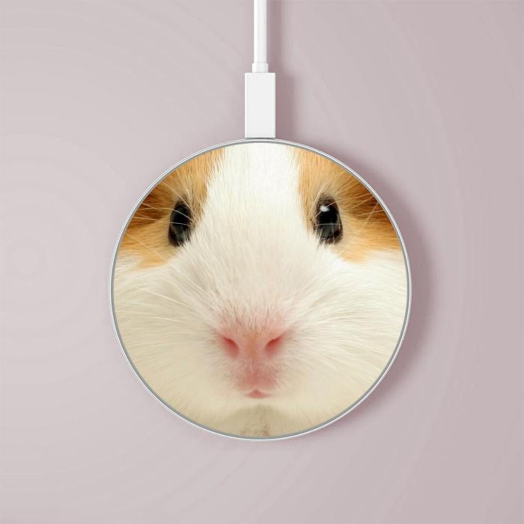 Cute Guinea Pig Wireless Charger Pad 15W Type-c iPhone Android LED ...