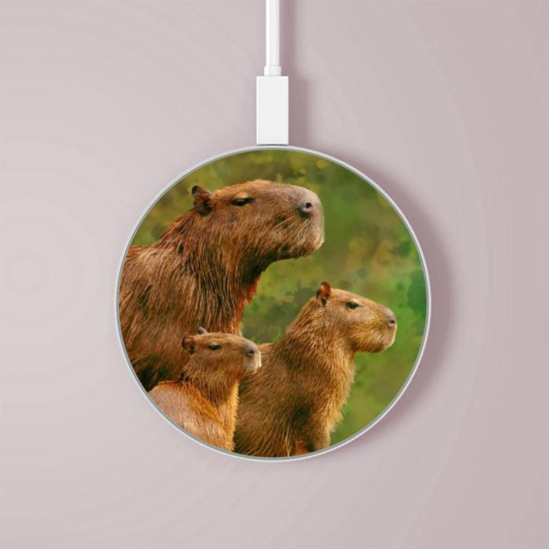 Capybara Family Giant Guinea Pig Wireless Charger Pad 15W Type-c iPhone ...
