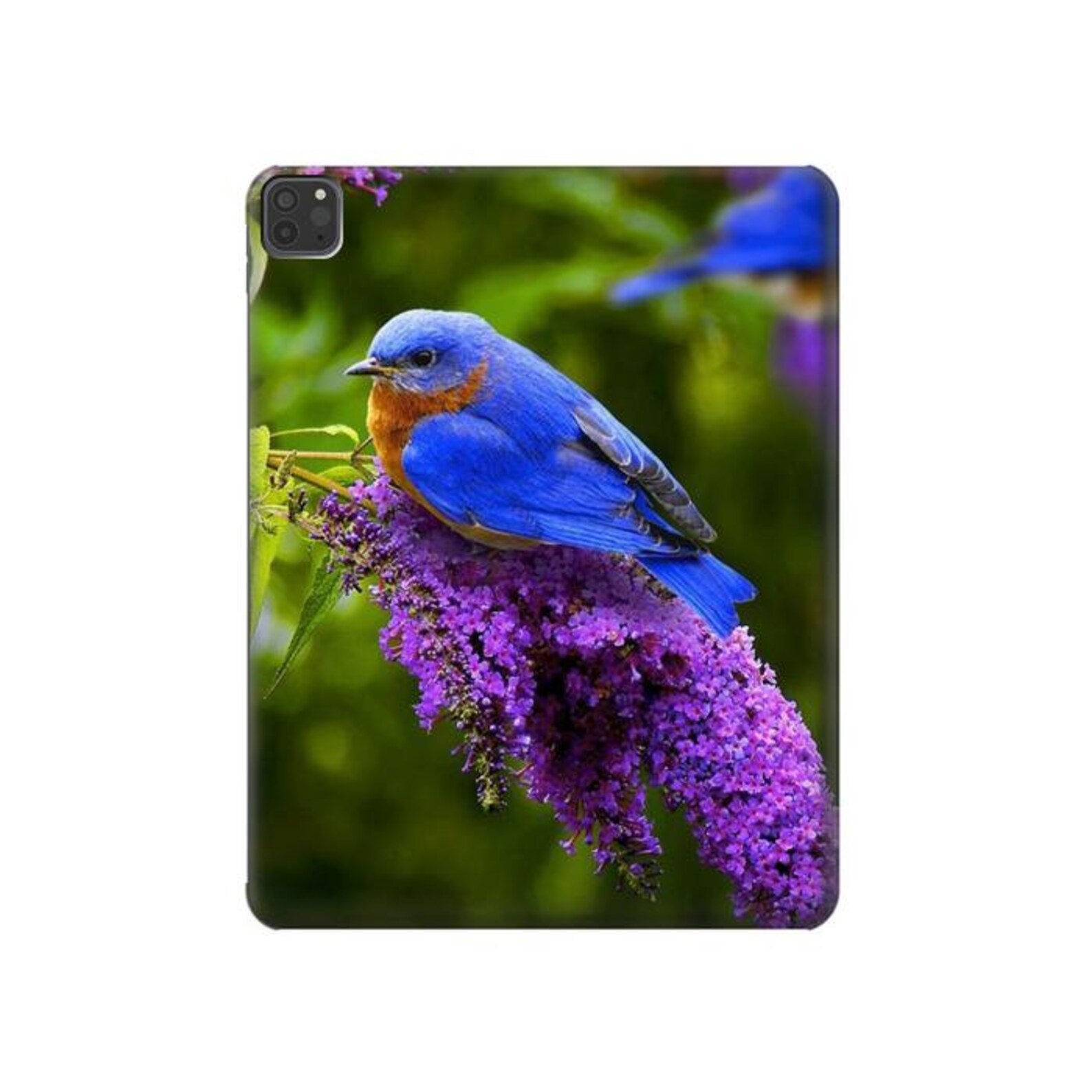 Bluebird of Happiness Blue Bird Hard Back Case for Ipad 6 5 - Etsy
