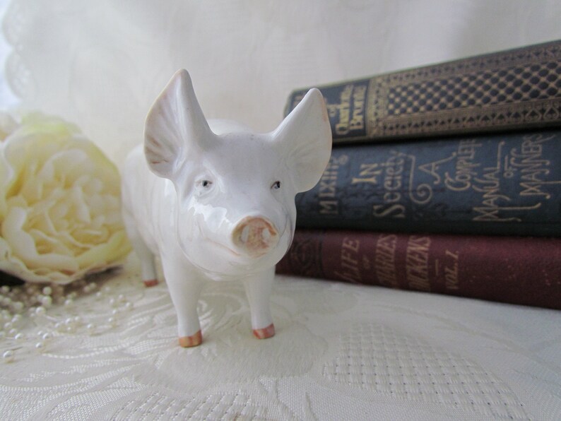 Vintage Beswick 'wall Champion Boy 53rd' White Boar Figurine 1453 ...