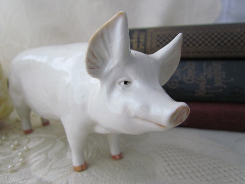 Vintage Beswick 'wall Champion Boy 53rd' White Boar Figurine 1453 ...