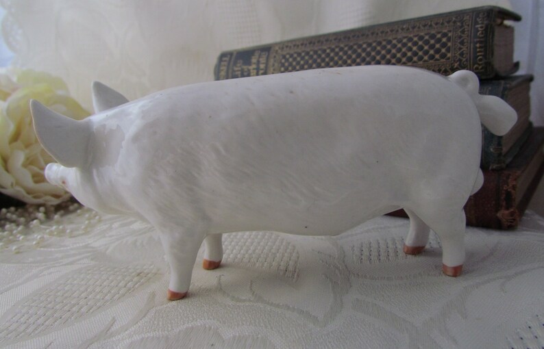 Vintage Beswick 'wall Champion Boy 53rd' White Boar Figurine 1453 ...