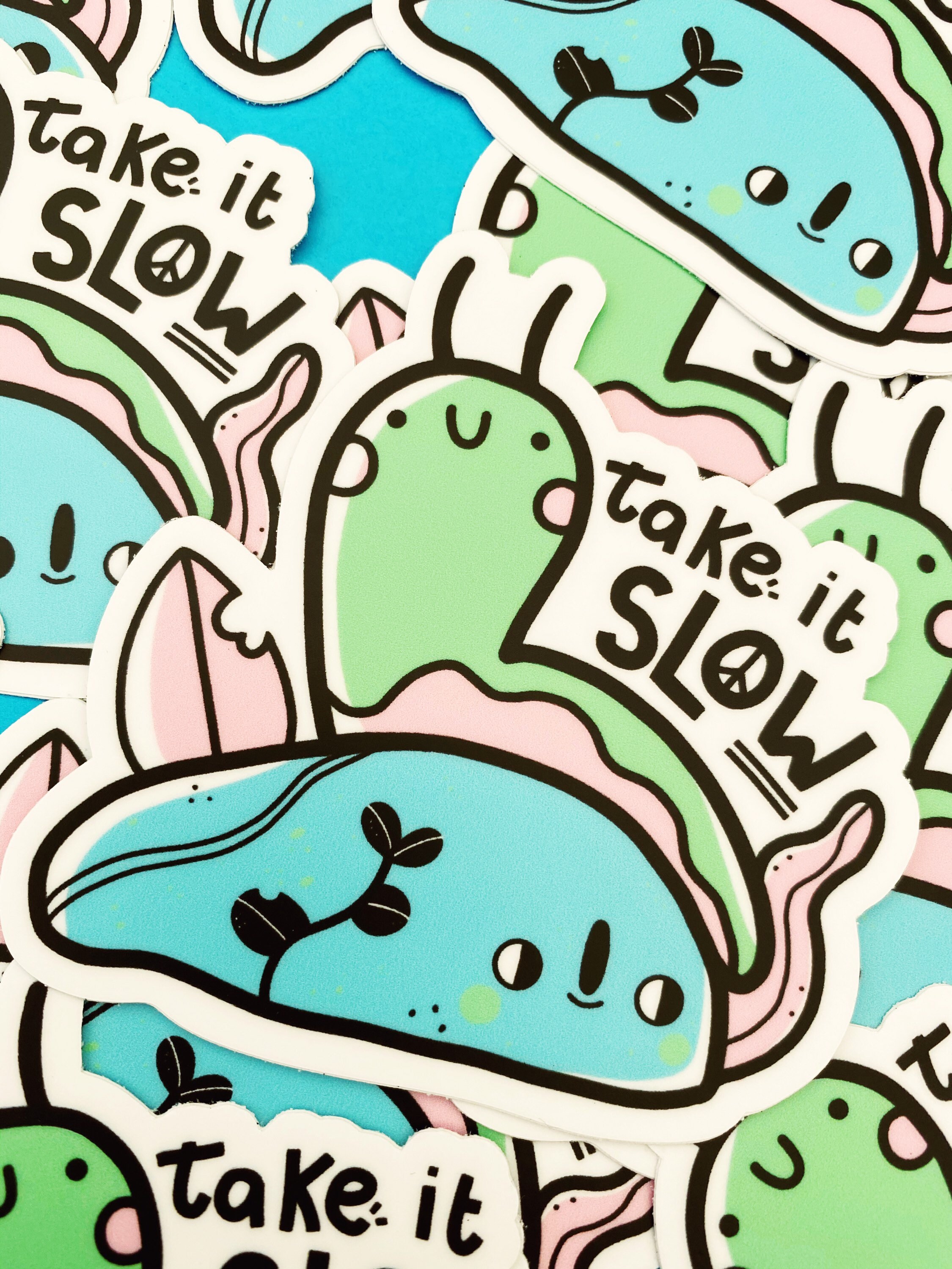 Take It Slow Snail Sticker / Animal Decal / Garden Sticker - Etsy
