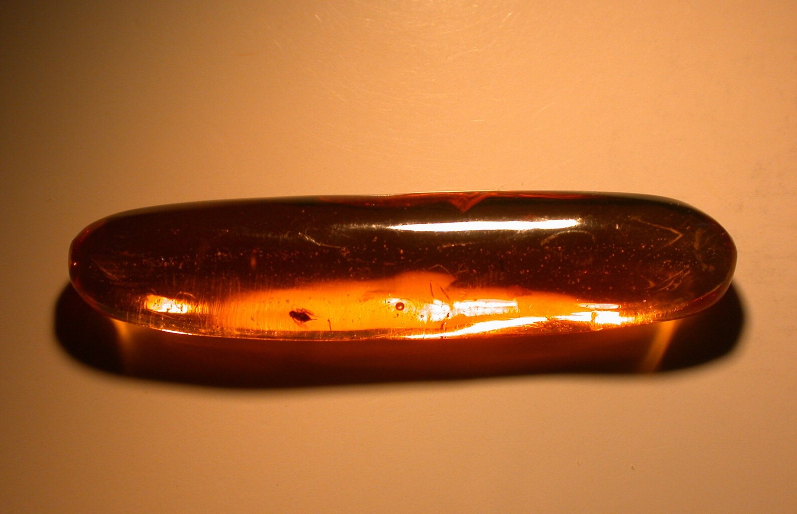 Dominican Amber Fossil Stalactite With Flower Stamen and Psychodid Fly ...
