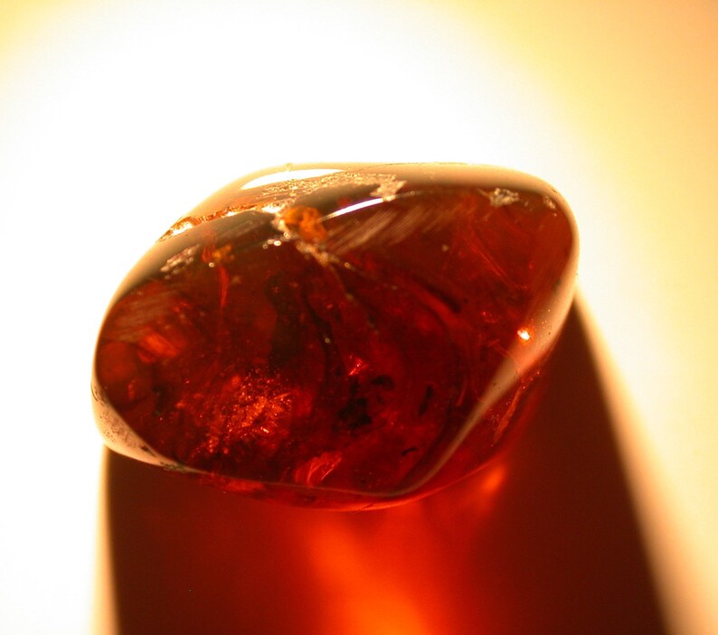 Extinct Hymenaea Flower Petal Cricket in Authentic RED - Etsy