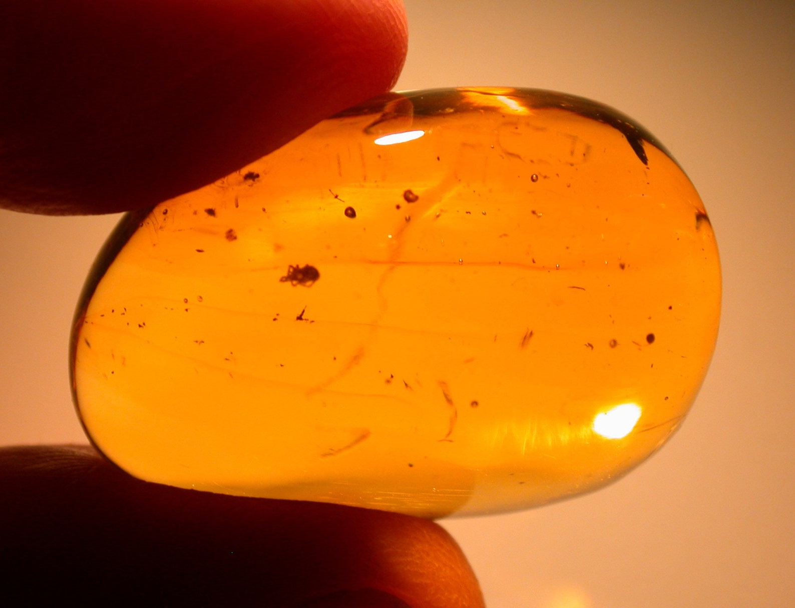 Beautiful Spider With Biting Midge in Authentic Dominican - Etsy