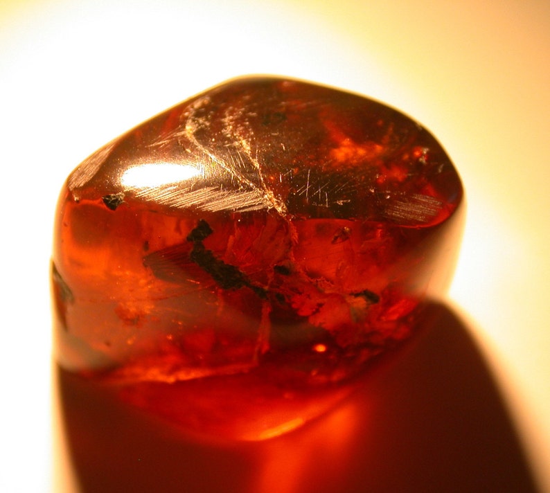 Extinct Hymenaea Flower Petal Cricket in Authentic RED - Etsy