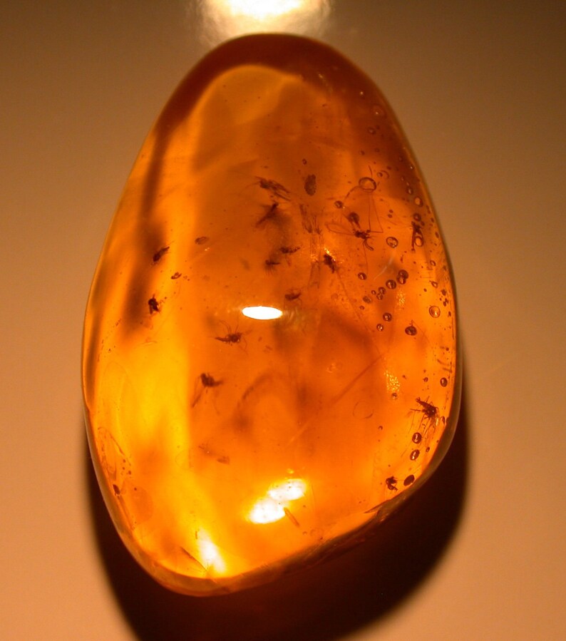 RARE Insect Swarm of 15 Flies in Authentic Dominican Amber - Etsy