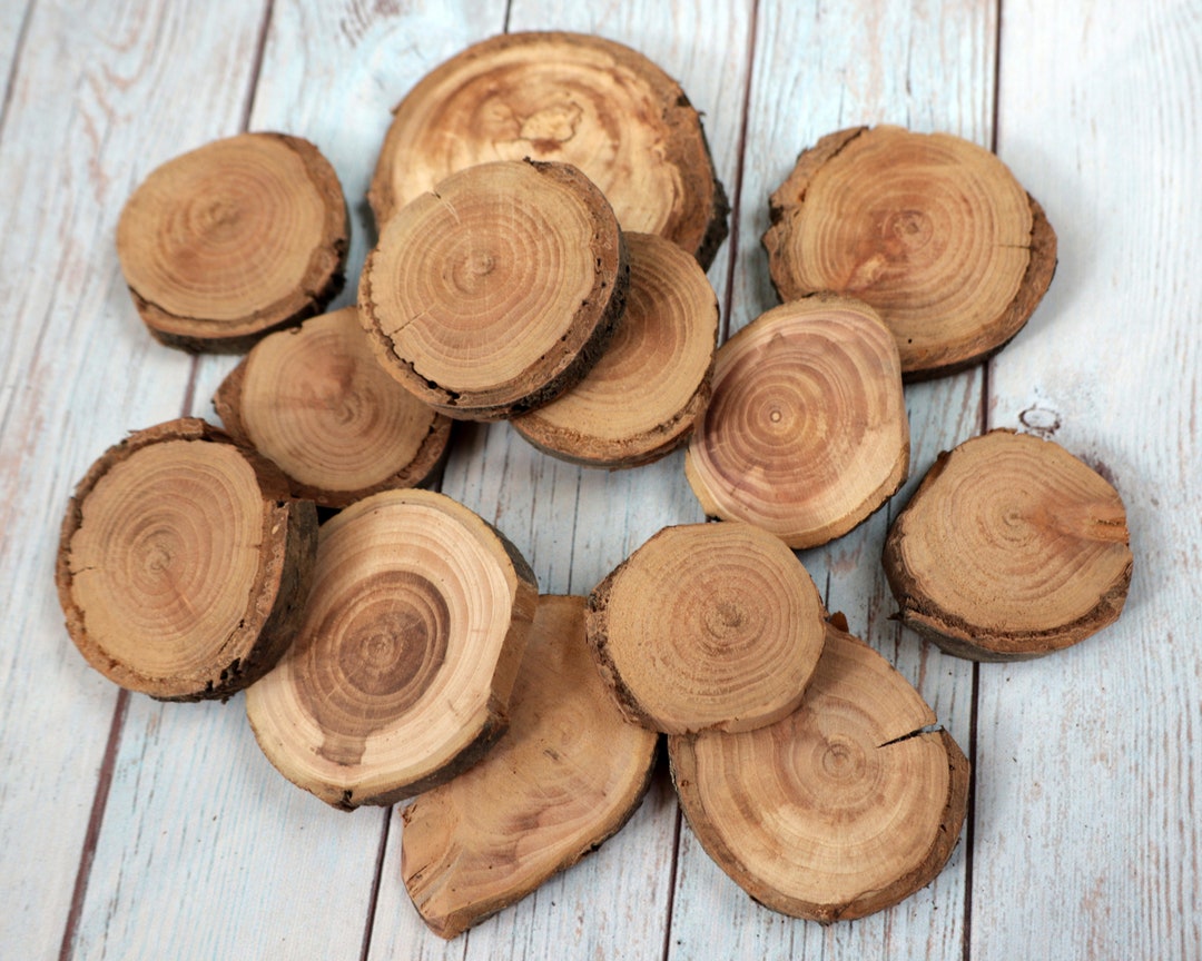 13 Slices of Cherry Tree With Tree Rings Unique Selection With Bark ...