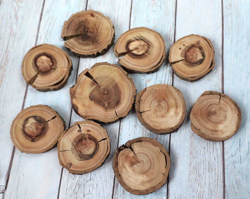 15 Slices of Cherry Tree With Tree Rings Unique Selection Side Cracks ...