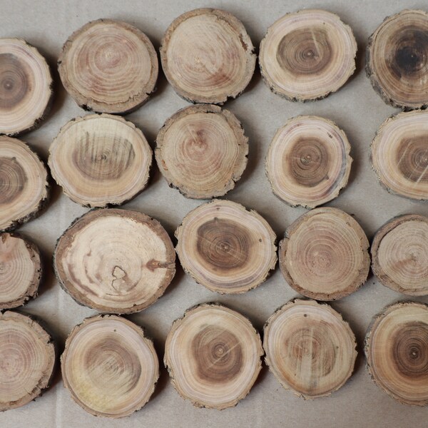 Tree Branch Slices - Etsy