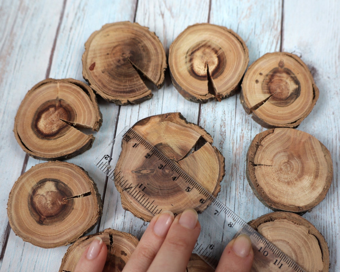 15 Slices of Cherry Tree With Tree Rings Unique Selection Side Cracks ...