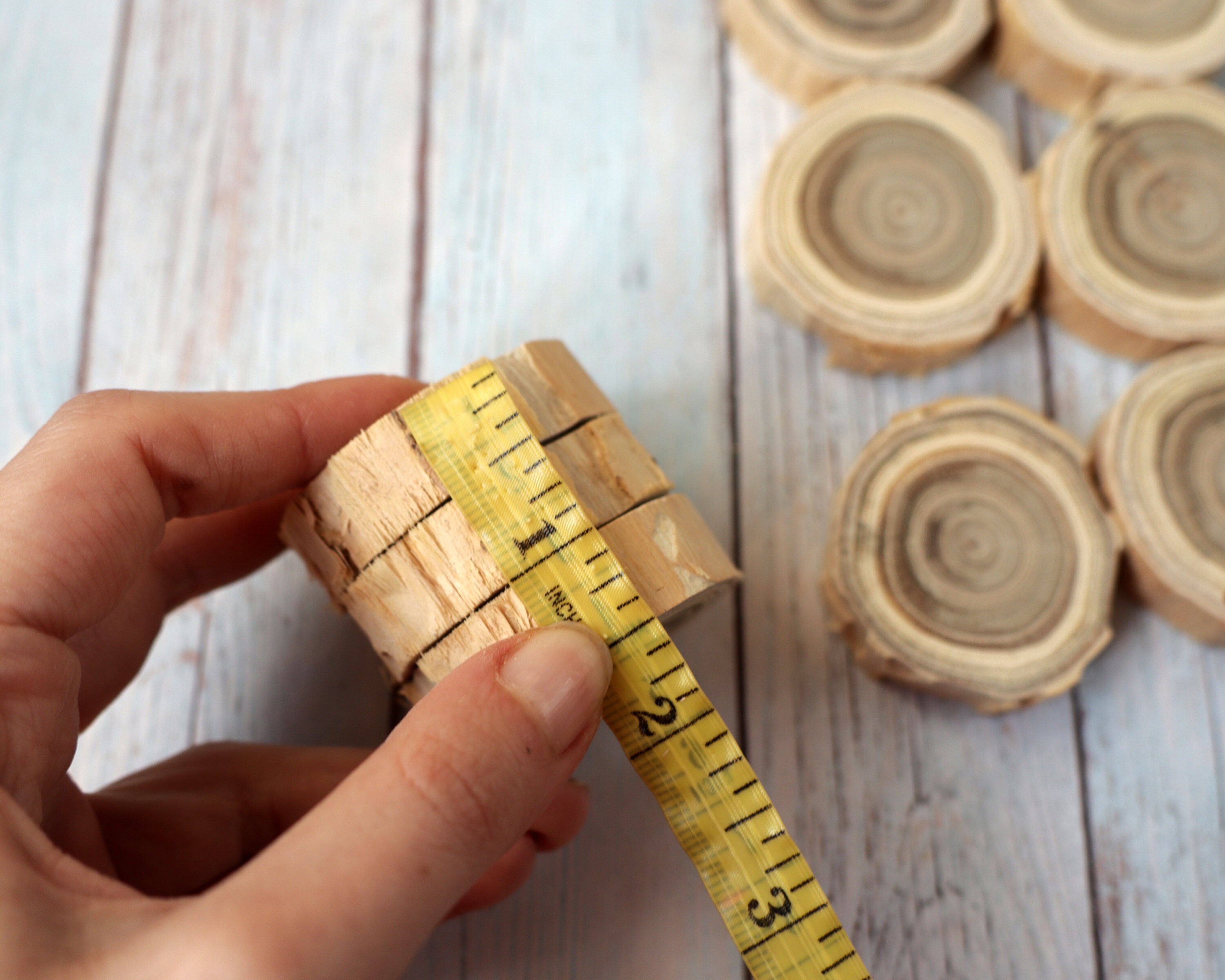 12 Slices of Acacia Tree With Tree Rings Unique Selection Without Bark ...