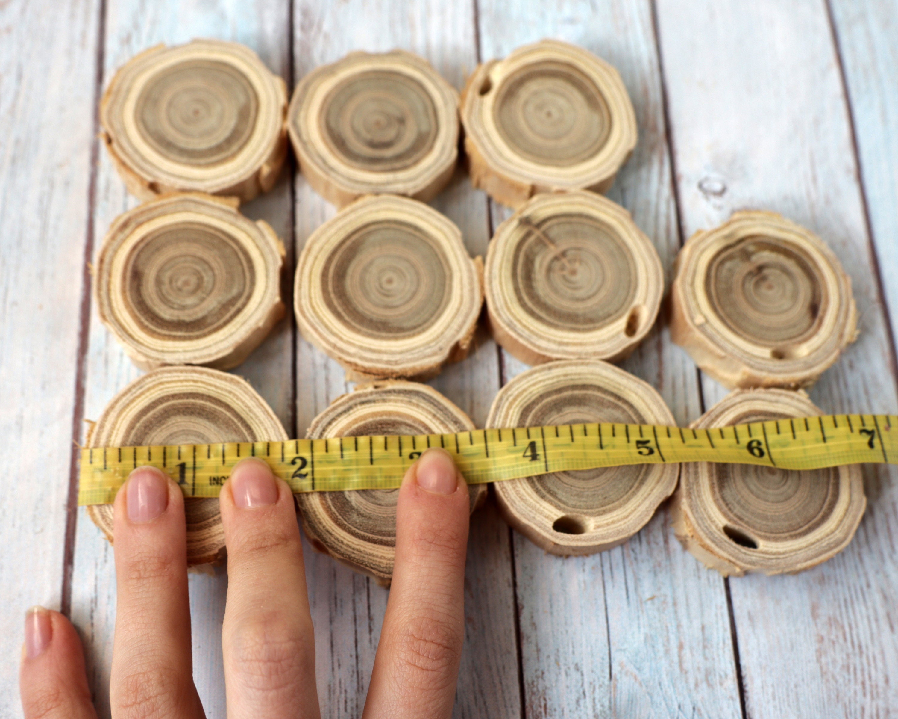 12 Slices of Acacia Tree With Tree Rings Unique Selection Without Bark ...