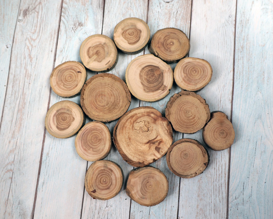 Cherry Wood Slices - 15 Rustic Tree Rounds With Bark for Crafts - Etsy