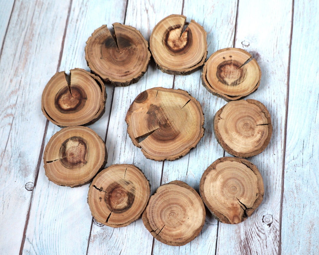 15 Slices of Cherry Tree With Tree Rings Unique Selection Side Cracks ...