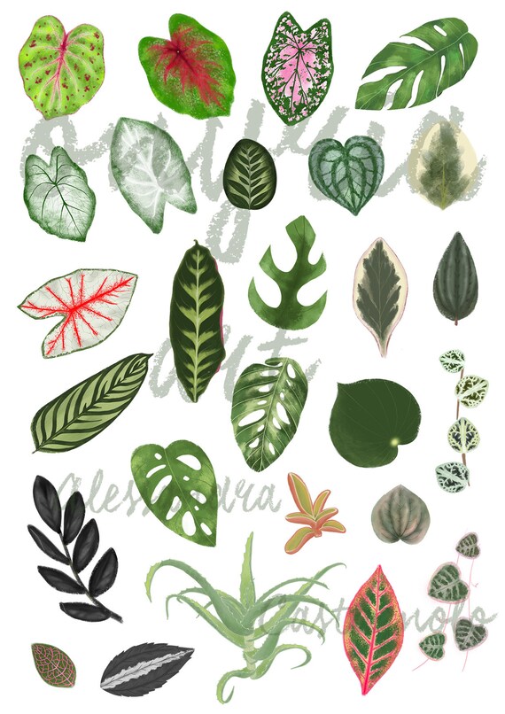 TROPICAL LEAVES STICKERS Printable Download Digital Files | Etsy