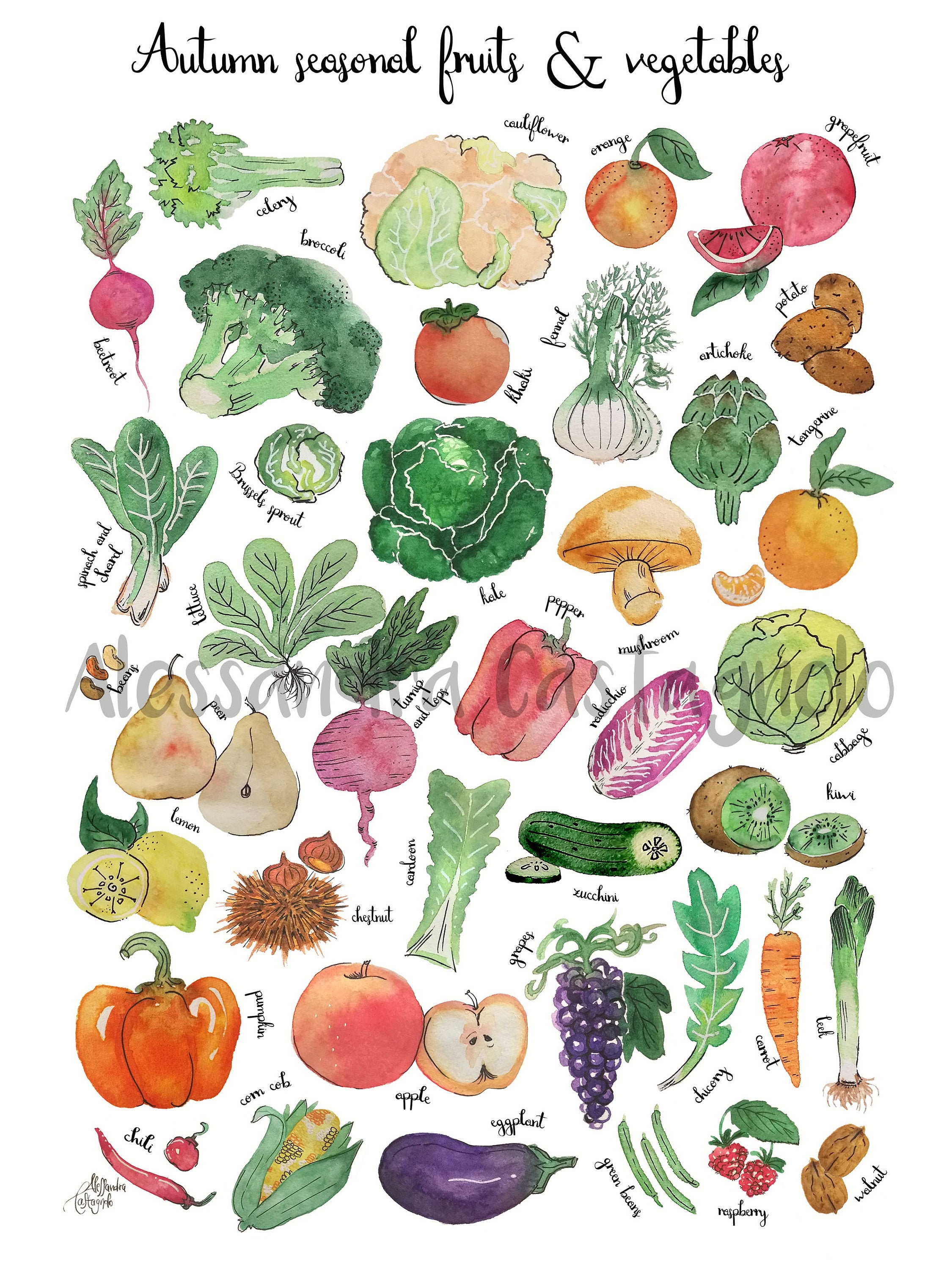 Paper & Party Supplies Instant Download Seasonal Fruit and Vegetable ...