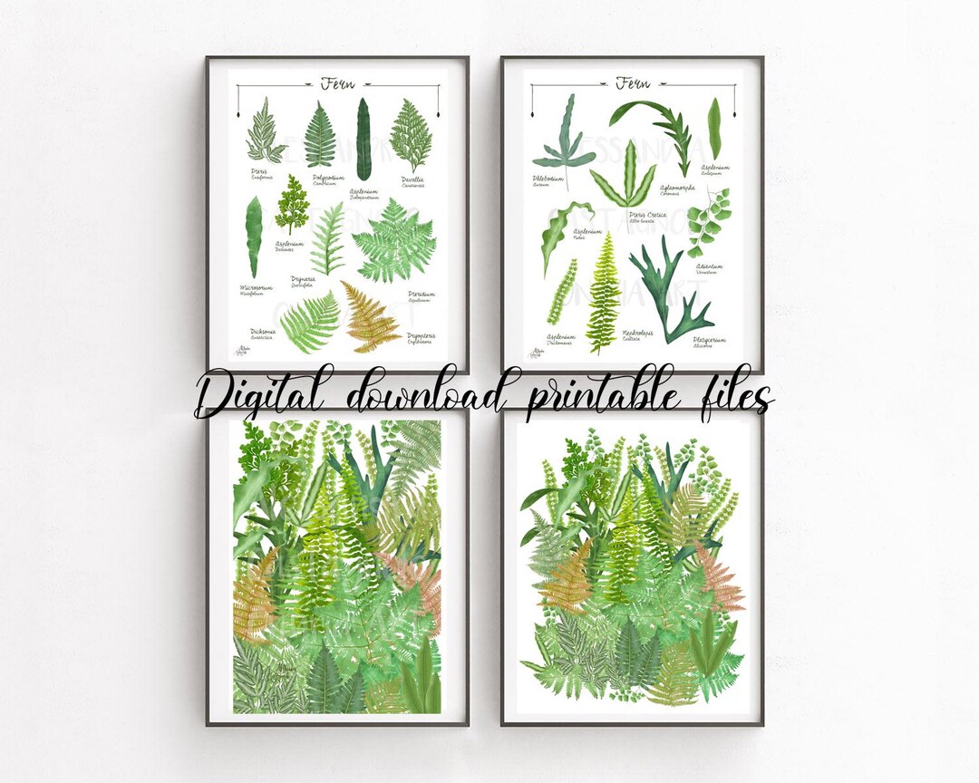 4x Digital Files FERNS Genus Species Digital File Download, Botanical ...