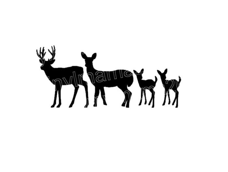 Deer Family Decal Deer Family Sticker Stick Figure Decal - Etsy