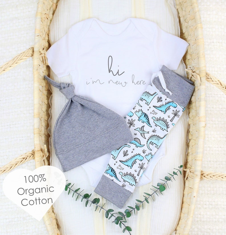 Organic Baby Clothes, Dinosaur Baby Clothes, Baby Boy Coming Home ...