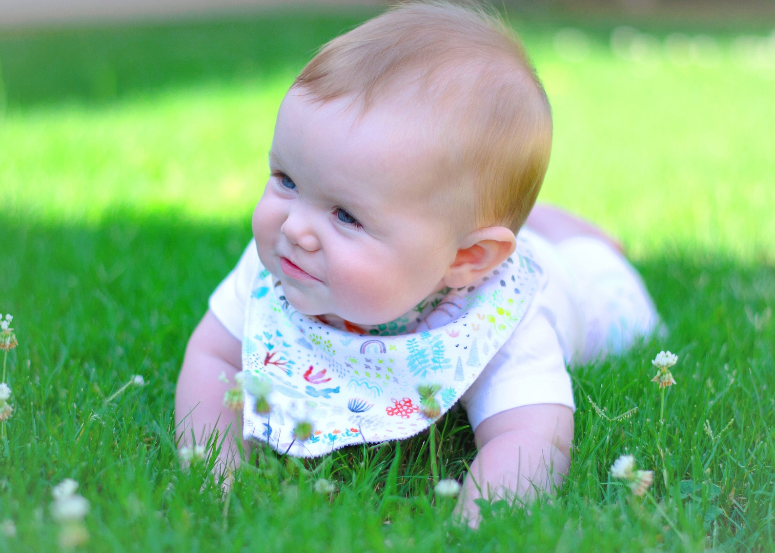 Organic Baby Clothes, Nature Baby Clothes, Little Nature Lover Bodysuit ...