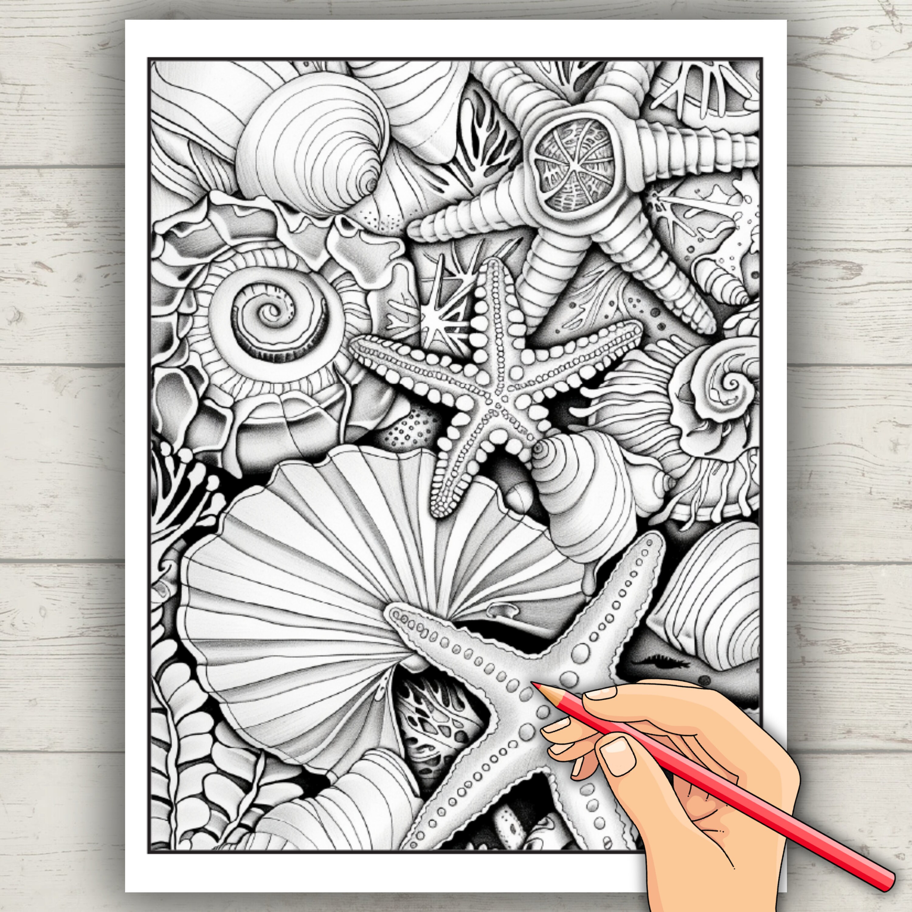50 Grayscale Seashells Coloring Pages, Printable Starfish Coloring Book ...