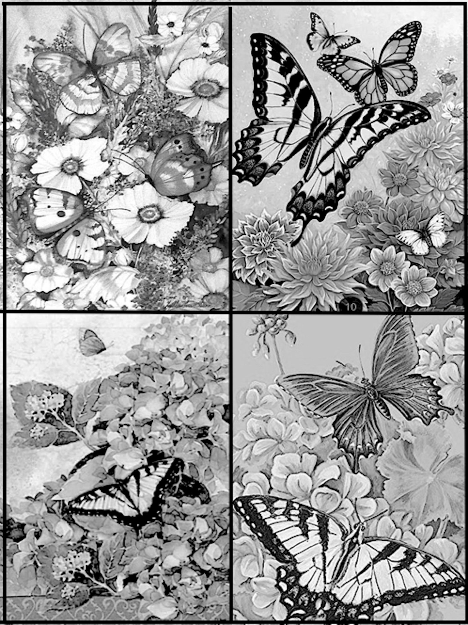 Butterfly Coloring Pages 13 Grayscale Images Flowers PDF - Etsy