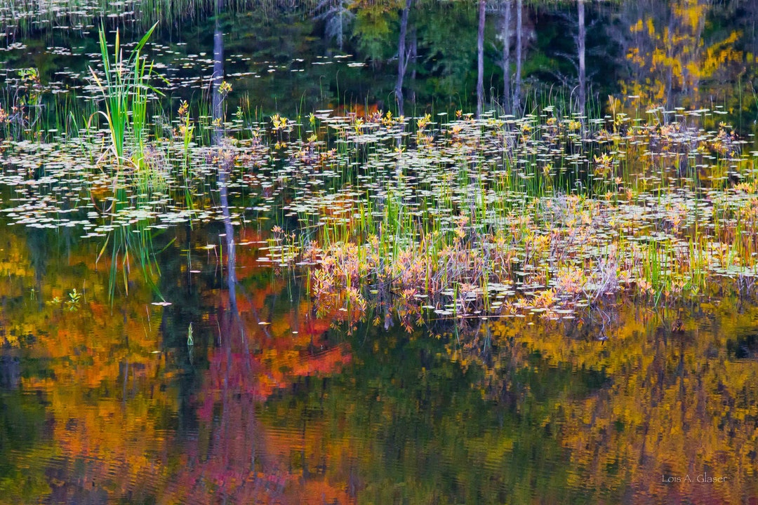 Autumn Reflections in Roadside Pond in the Adirondack Mts. of NY ...