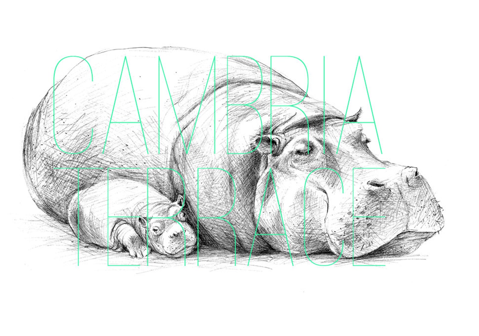 Hippo Pen and Ink - Nursery Series - Etsy