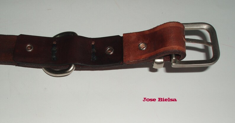 Personalized Leather Dog Collar Handmade Craftwork // Belt Dog - Etsy