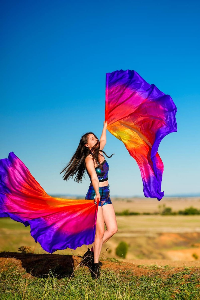 Pair Gigant Silk Wing Flag Half Circle FREE SHIPPING - Etsy