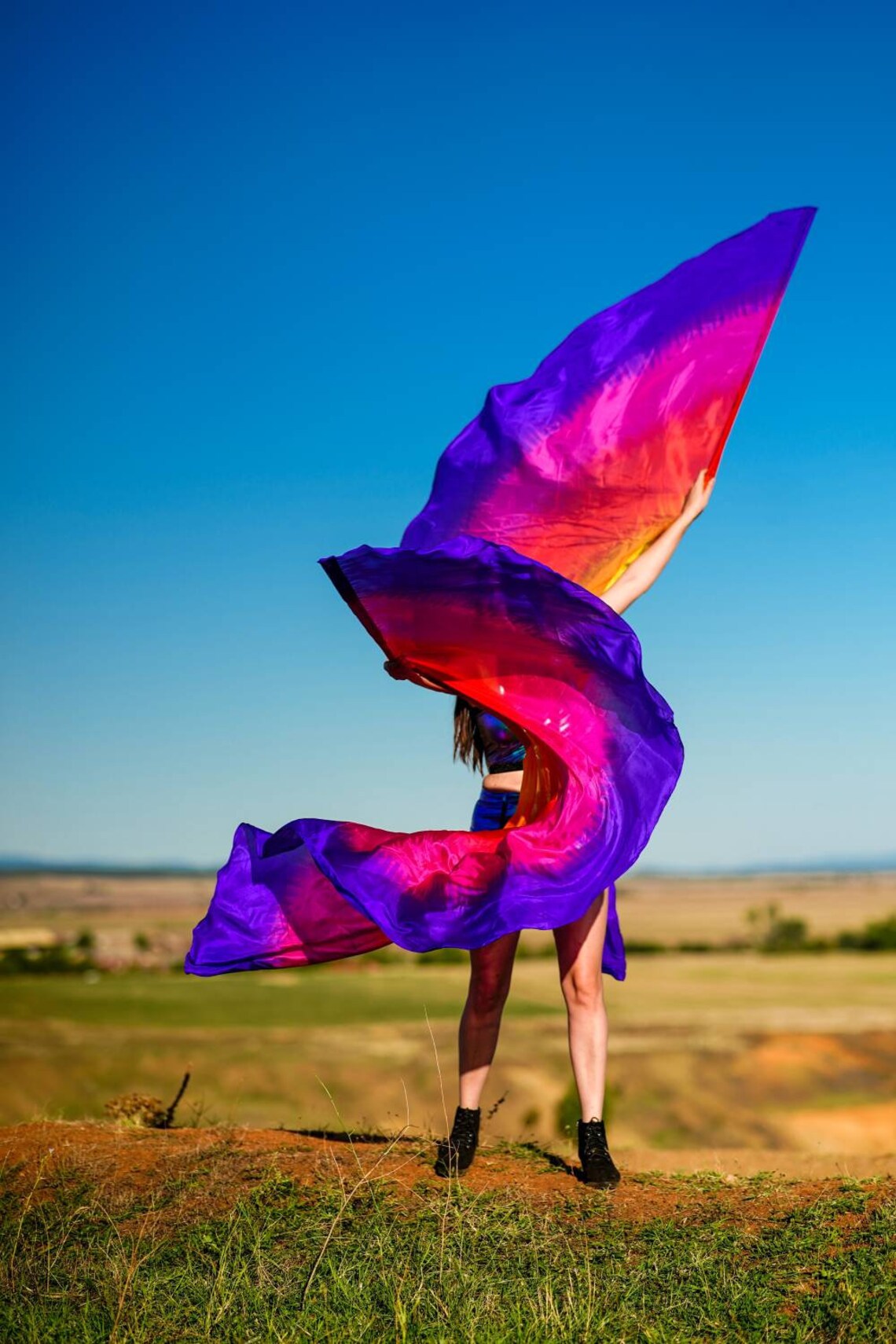 Pair Gigant Silk Wing Flag Half Circle FREE SHIPPING - Etsy