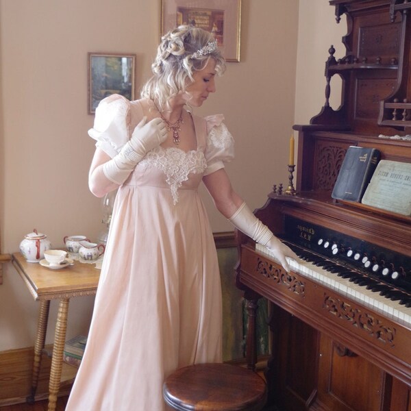 Plus Size Regency Dress Costume - Etsy