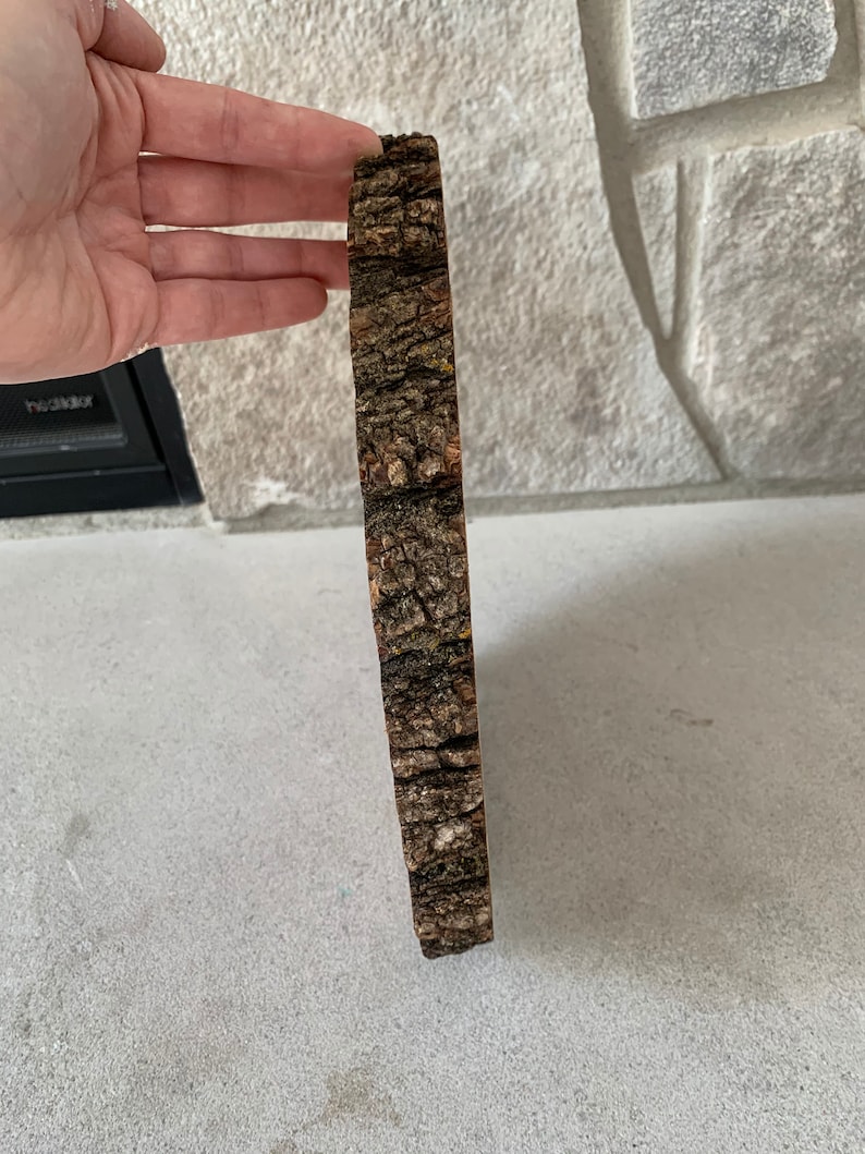 Appreciation Plaques, Camp Plaques, Den Leader Plaque, Council Event ...