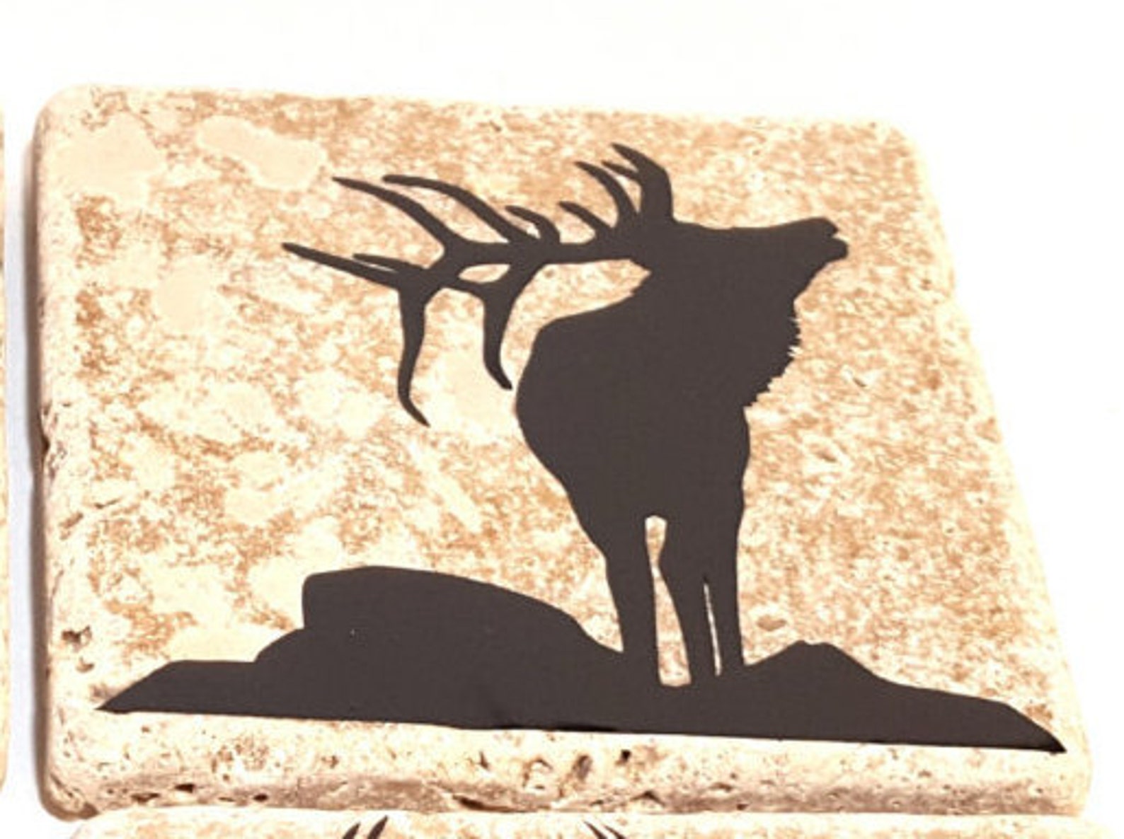 Wildlife Coasters Gift for Nature Lovers Stone Coasters - Etsy