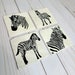 Zebra Coasters Set of 4 Drink Coasters Zebra Gifts Wildlife - Etsy