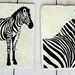Zebra Coasters Set of 4 Drink Coasters Zebra Gifts Wildlife - Etsy