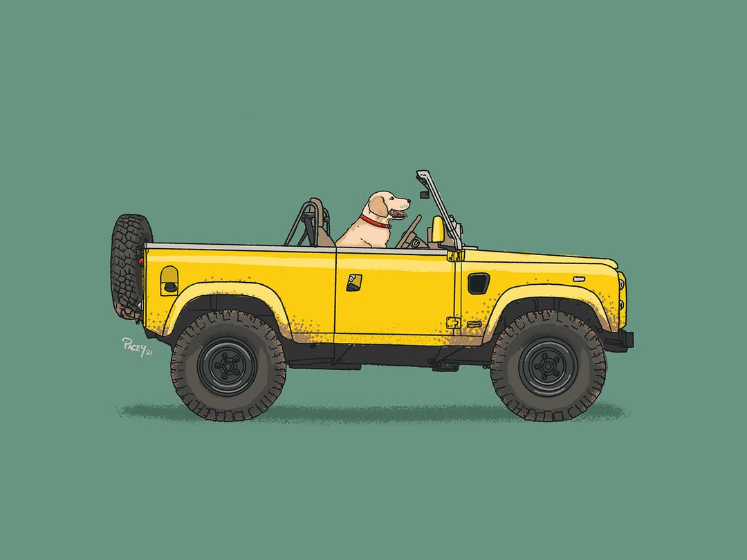 Oscar the Labrador Exploring the World Behind the Wheel of His Land ...