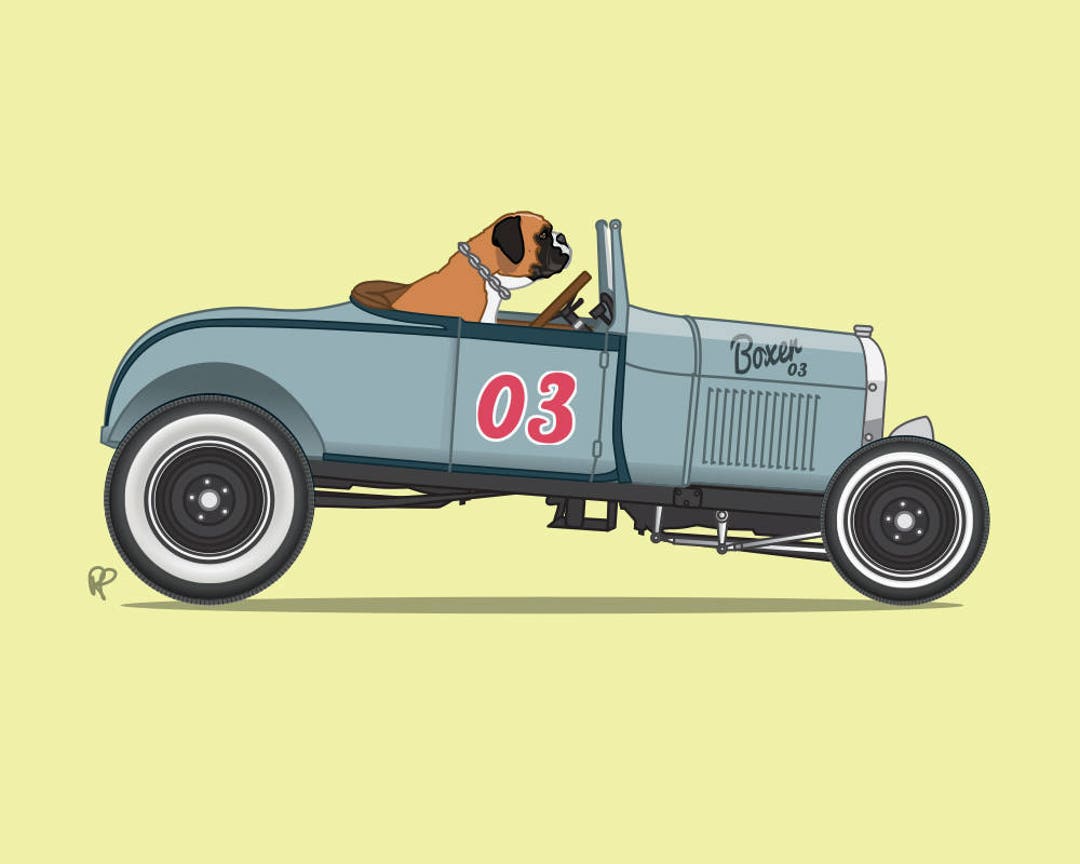 Boxer the Boxer Driving His Hot Rod is the Perfect Art Print for ...