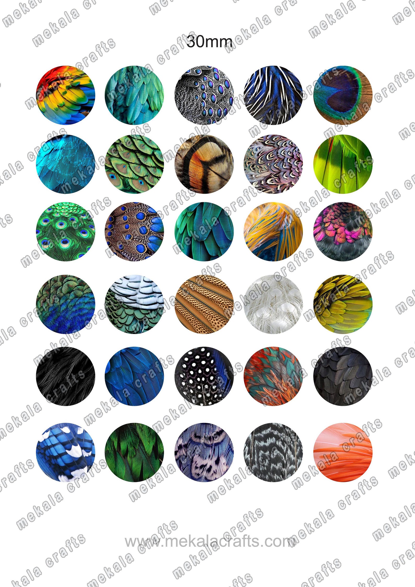 Digital Collage Sheet Birds Feather Colorful Birds Printable - Etsy